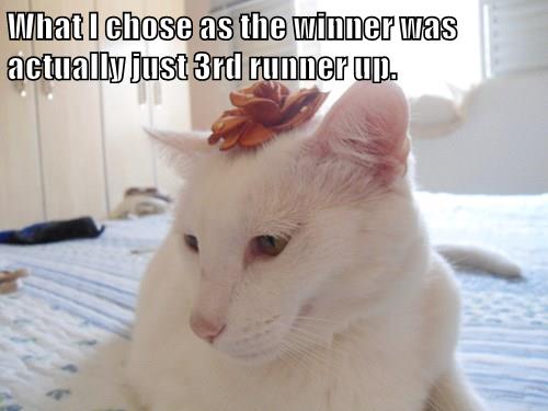 Dear James: CAT MEME EDITION | The James Franco Review